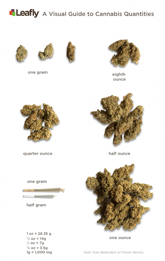 What Does One Gram Of Cannabis Look Like A Visual Guide To Cannabis