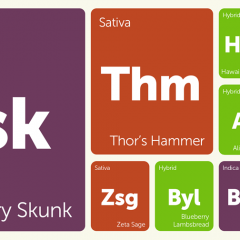 Happy Hanukkah! 8 Crazy Strains for Making Hash Oil | Leafly