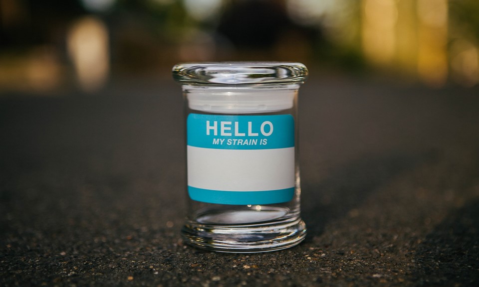 Budtender Resource: How to Help Your Patients Choose the Right Strain ...