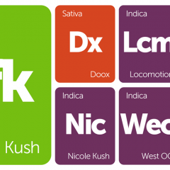 Leafly’s Dirtiest, Most NSFW Cannabis Strains | Leafly
