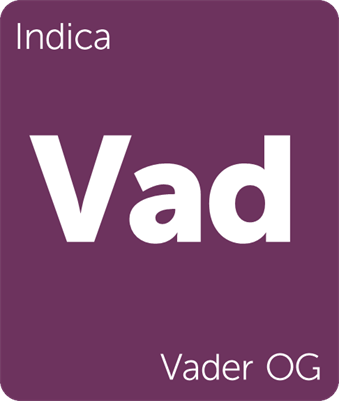 My Magazine: New Strains Alert: Vader OG, Alien Rift, Blue Ox, and More