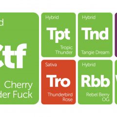 10 Cannabis Strains That Won’t Make You (As) Hungry | Leafly