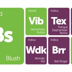 How Does a Cannabis Strain Get Its Name? | Leafly