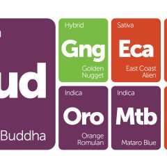 10 Strains You Might Not Know Are Siblings | Leafly