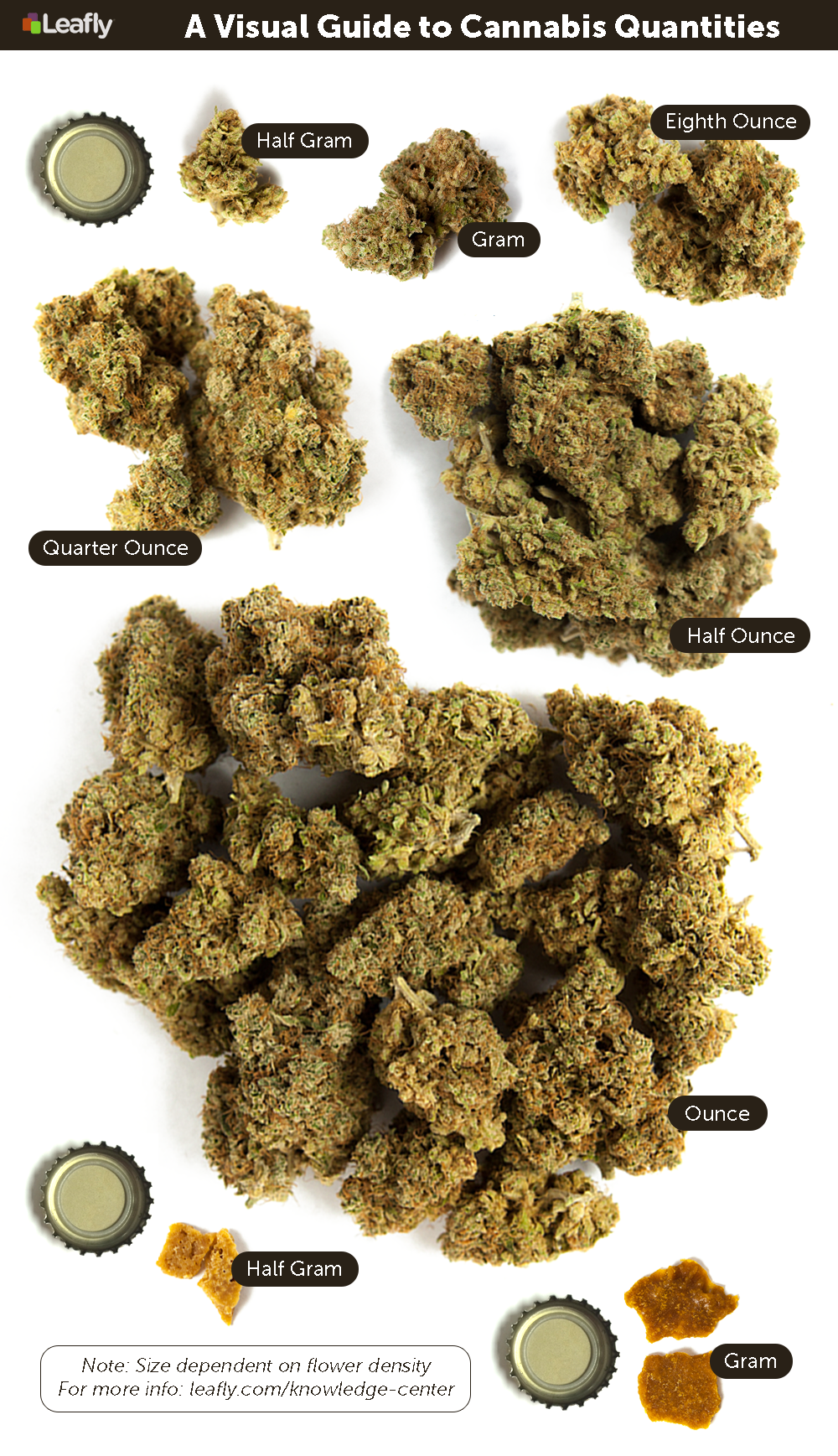 An Insider s Guide To California s Proposed Medical Marijuana An Insider s Guide To California s Proposed Medical Marijuana