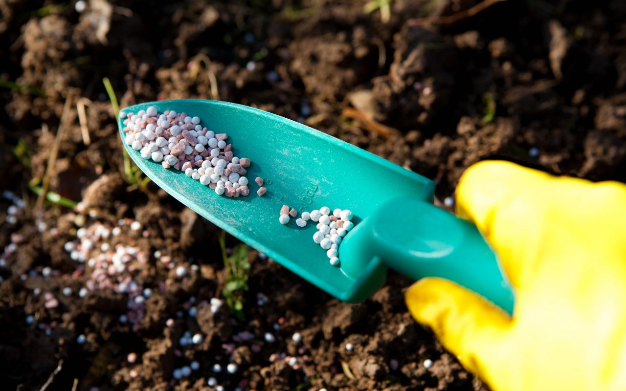 How to Grow Bigger Cannabis Buds Outdoors and Indoors - Cannabis ...