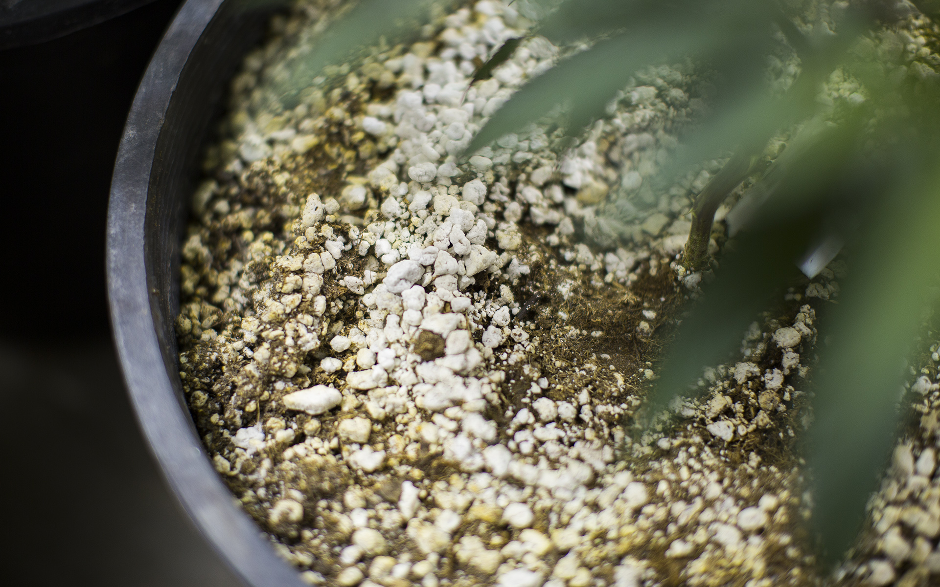 Subcool S Super Soil 1 2 Recipe | Besto Blog