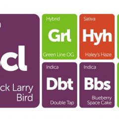 Best Cannabis Strains for Sparking Creativity | Leafly