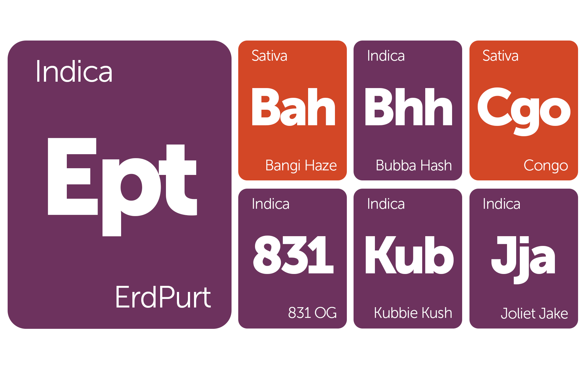 New Strains Alert: CBD Shark, Afghan Hawaiian, 13 Dawgs, Damn Sour, and ...