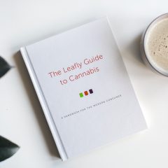 The Origin & History of the Word "Marijuana" | Leafly