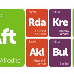 Top 10 Cannabis Strains in California | Leafly