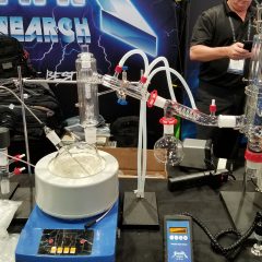 Do Cannabinoid-Mimicking Compounds Affect the Endocannabinoid System As ...