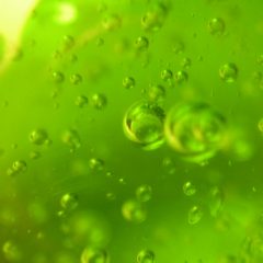 Want a 'Cannabis Bar' at Your Wedding? Here's How One Planner Pulled It ...