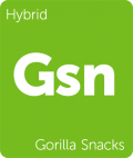 New Strains Alert: Gorilla Snacks, Champagne Diesel, Dark Shadow Haze ...