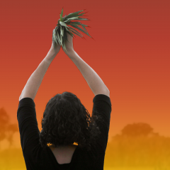 The 10 Most Beautiful Cannabis Dispensaries in America | Leafly